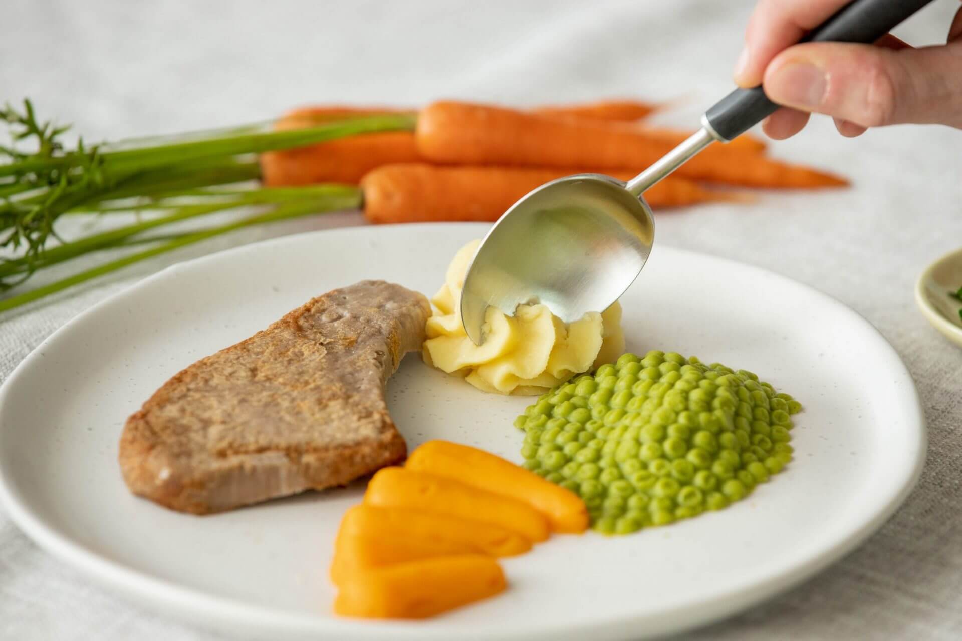 Textured Concept Foods – Nutritional Dining with Dignity