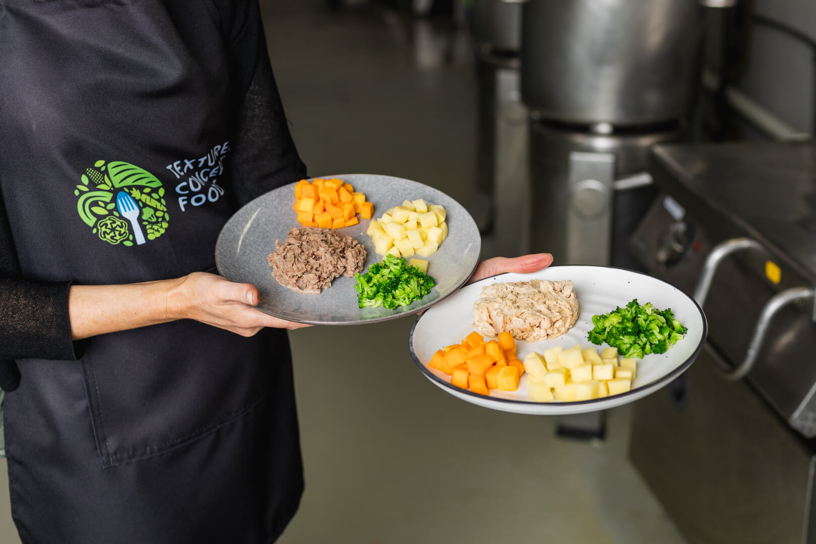 Textured Concept Foods – Nutritional Dining with Dignity