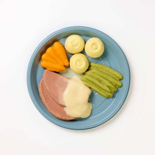 Corned Beef with Peas, Carrots, Mashed Potato & White Sauce - Pureed ...